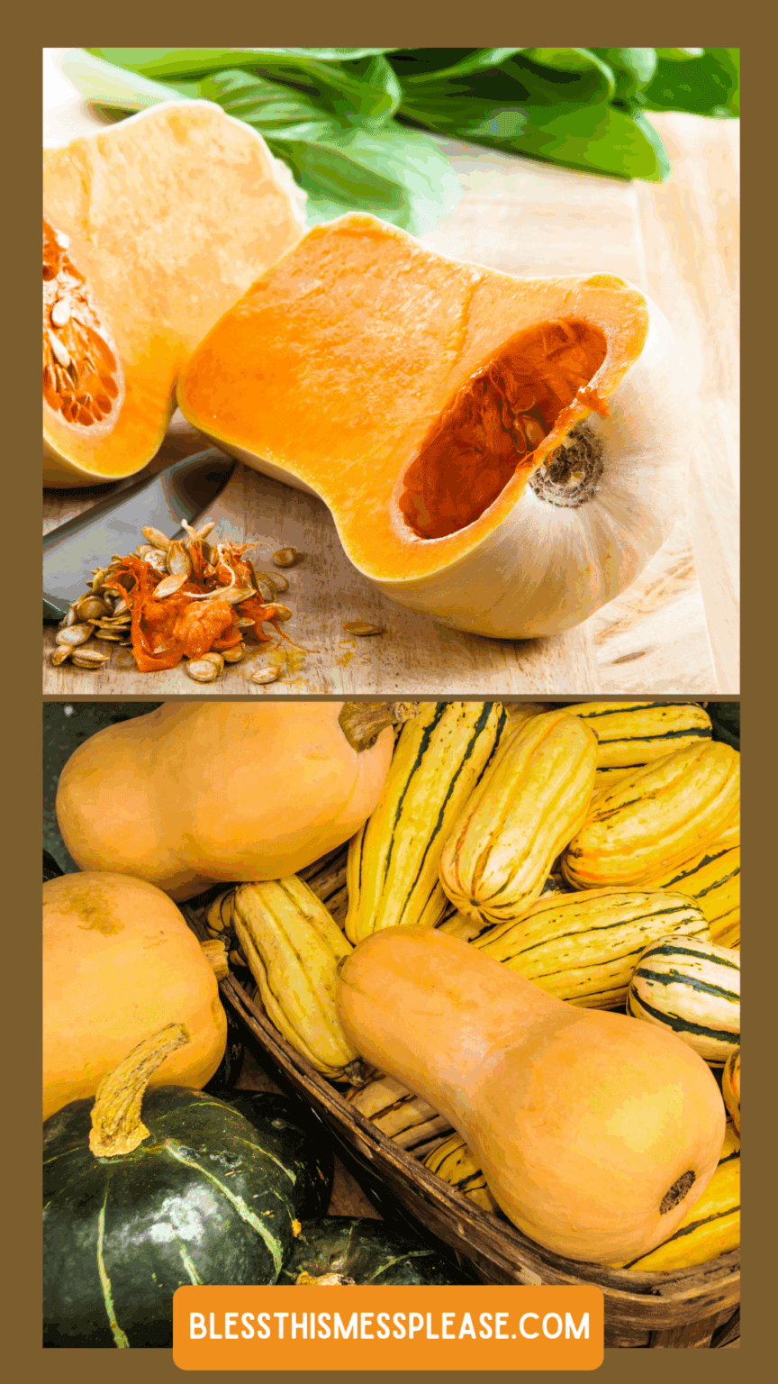 How To Preserve Winter Squash And All It's Nutty Varieties! — Bless ...
